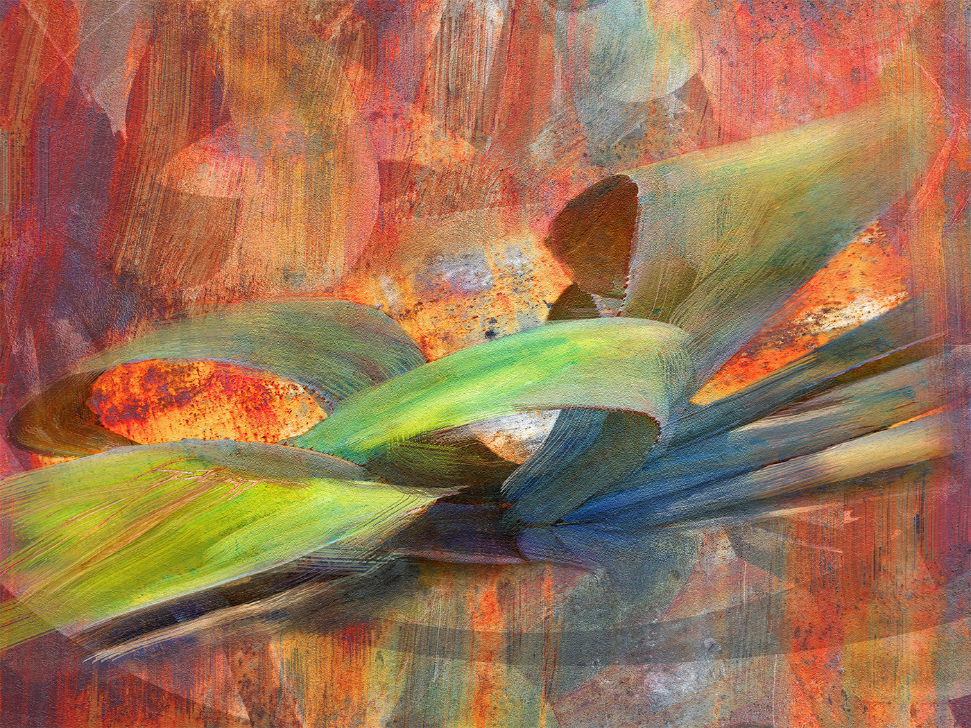 Abstract Design Series - Photography by Carl N Sidle