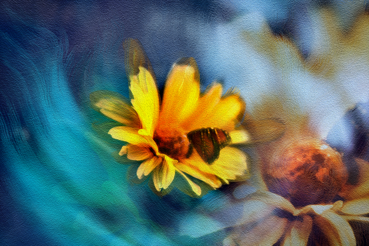 Home - Photography by Carl N Sidle